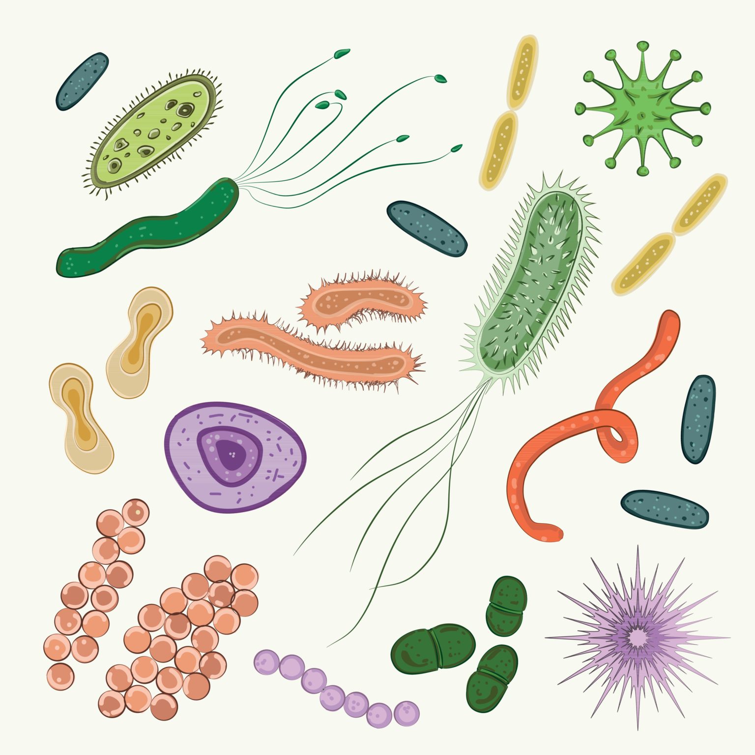 4.6 Instruks: Import og arbeid med smittefarlig materiale – HMS ved K2